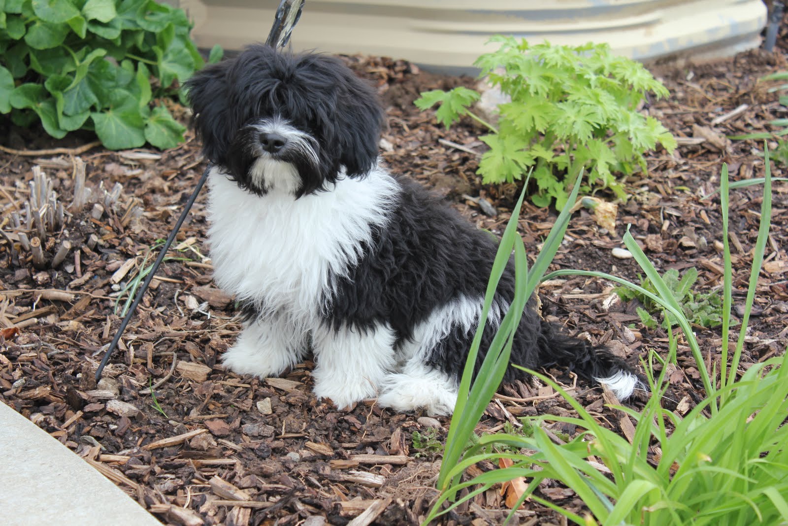 The Scott's Reckless Adventure: A Tour of our House