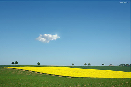 MAXARTE EDUCAÇÃO: Linguagem Fotográfica