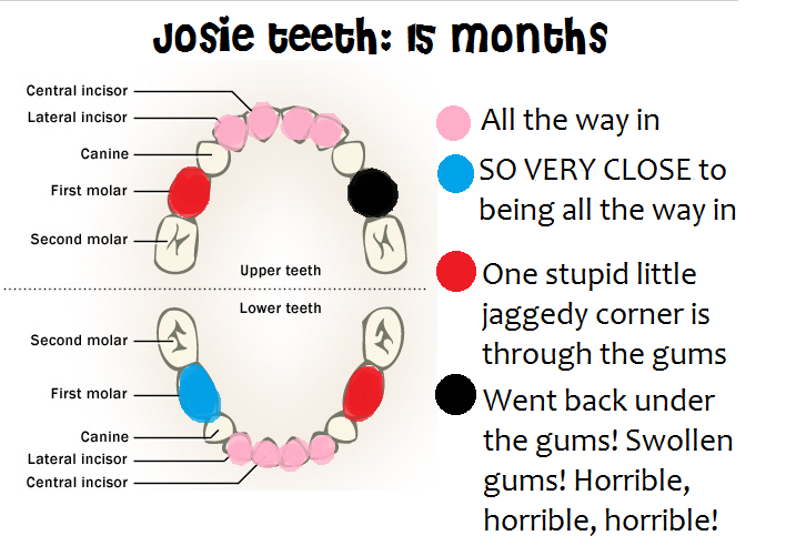 Veronica M.D.: 15 Months!