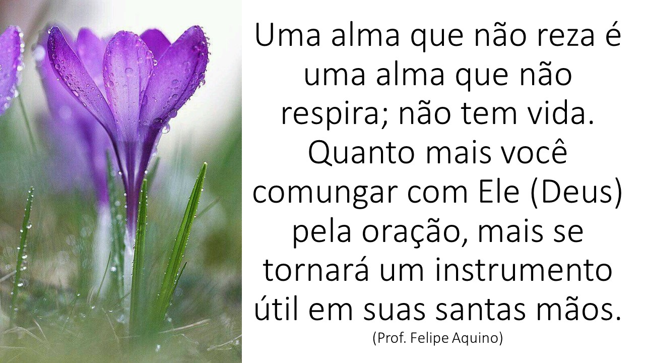 A Mão da Vida: Uma alma que não reza é uma alma que não respira