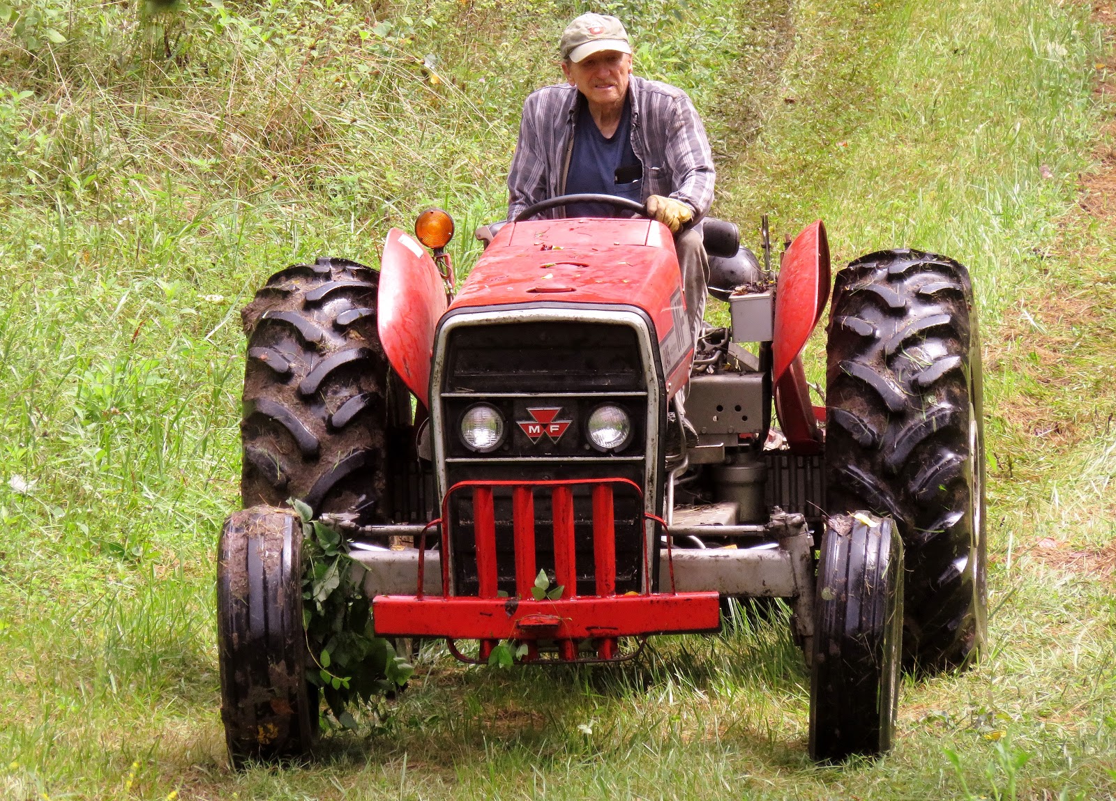 Tales From The Wood Booger: It Has Been A Long Week For The Wood Booger