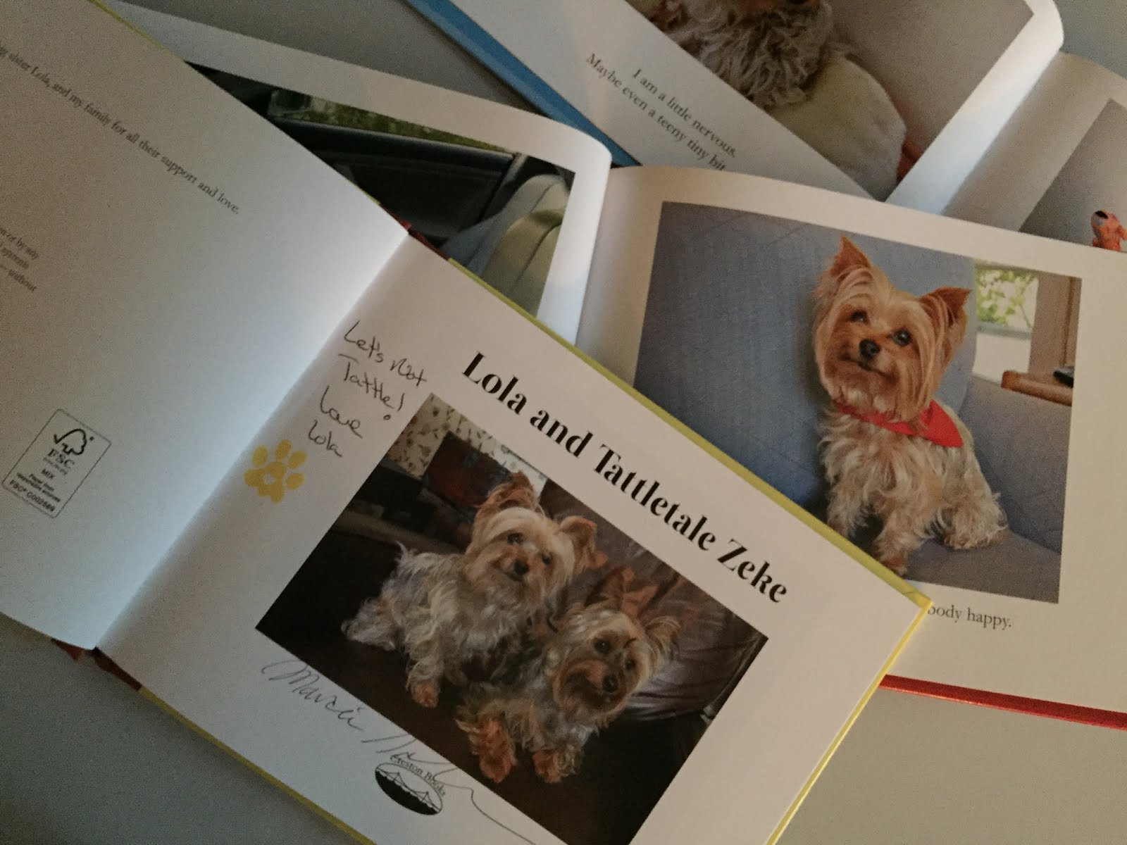 Belles and Rebelles: Lola the Therapy Dog Book Series