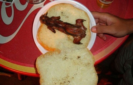 Dalmatia’s Most Unusual Festival? Puhijada, the Edible Dormouse – The ...