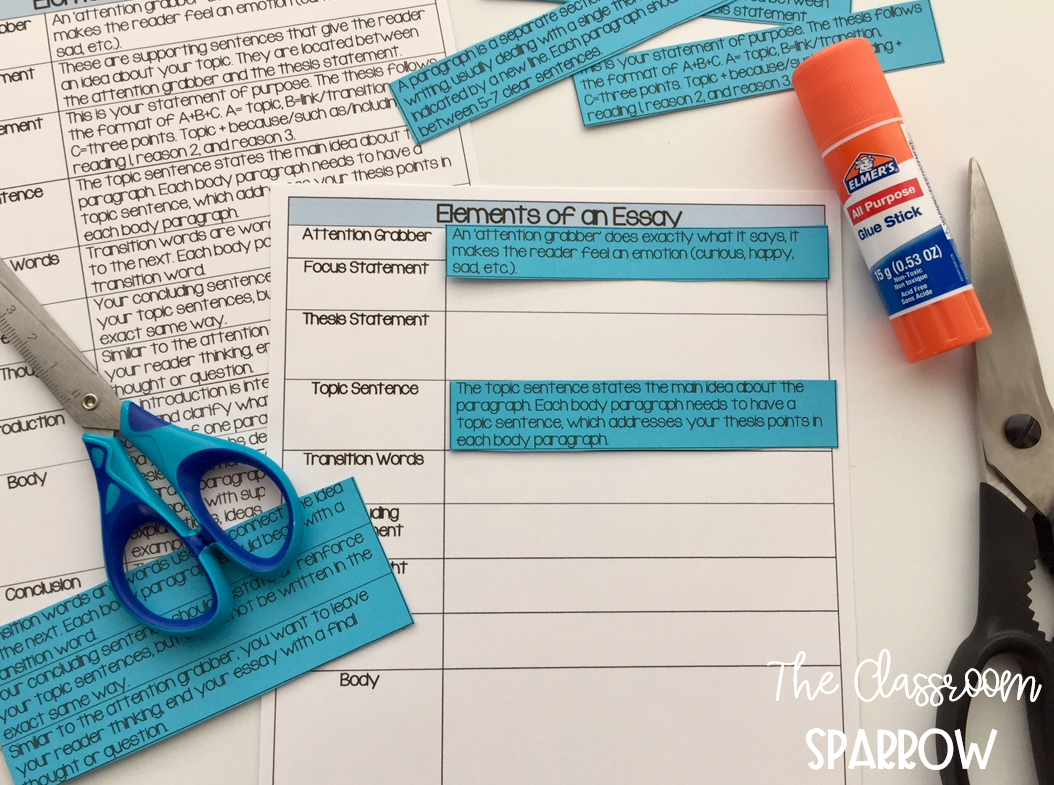 5 Steps to Essay Teaching Success | The Classroom Sparrow