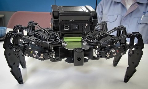 Spider-Bot With Six Legs Customizable and Cheap + VIDEO | Future Technology