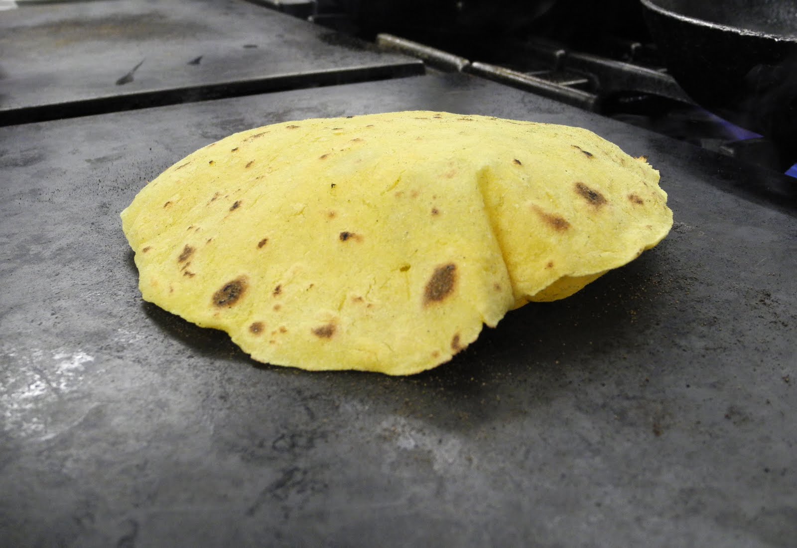 Talo-jana (TheGluttonClub), Donostia : Eating Without Moving