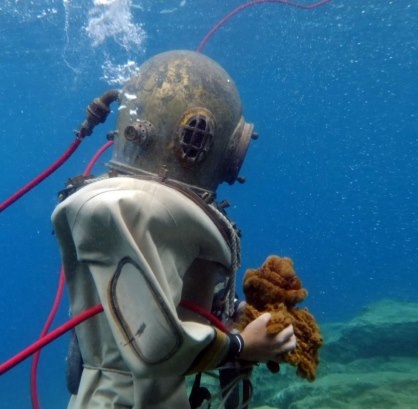 Greek Sponges ~ Cambridge Greek Corner