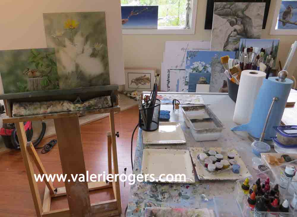 Valerie Rogers Art - www.valerierogers.com