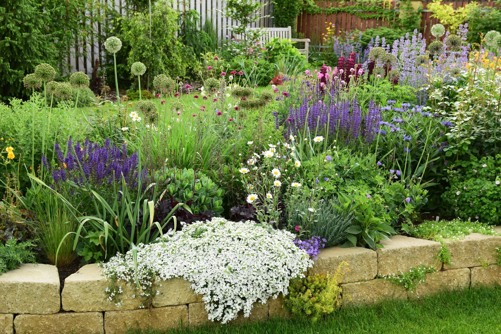 Život v zahradě: Trvalkový záhon