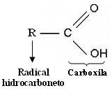 Outra definição: Sãocompostos orgânicos que apresentam ogrupo carboxila ...