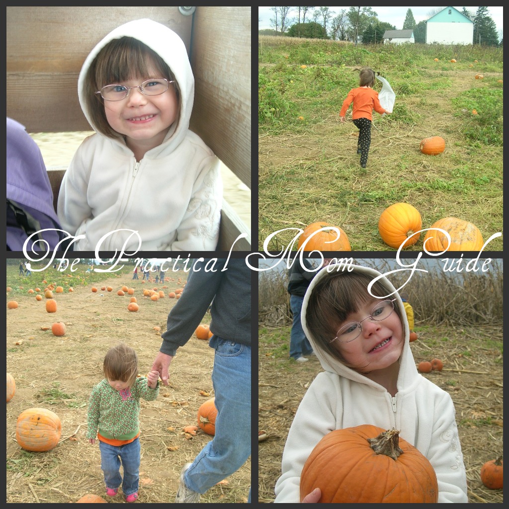 The Practical Mom Guide: 2011