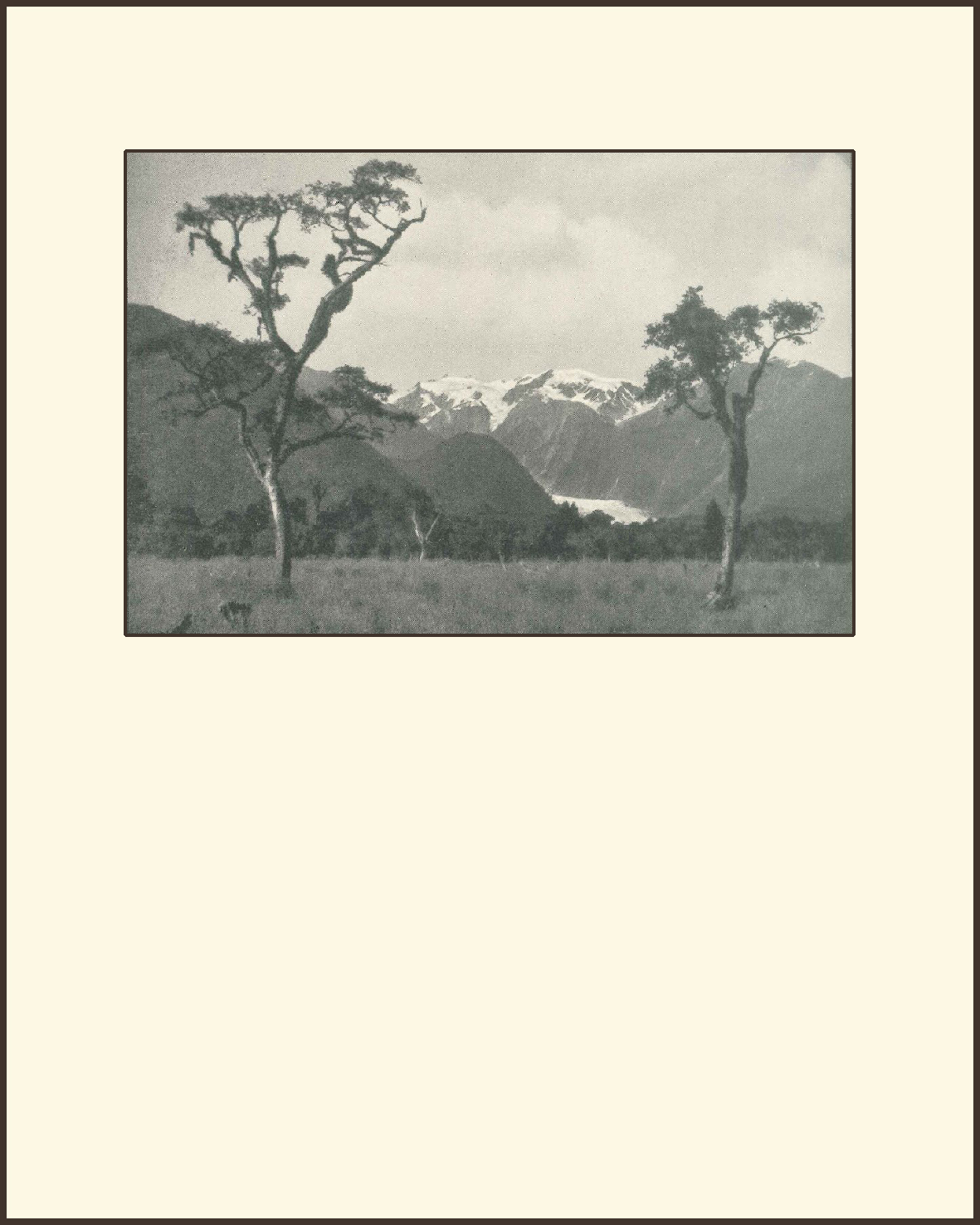 Early New Zealand Photographers: CHANCE, George