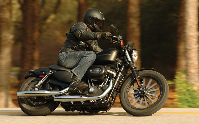 Harley Davidson Iron 833 | Motor Bikes