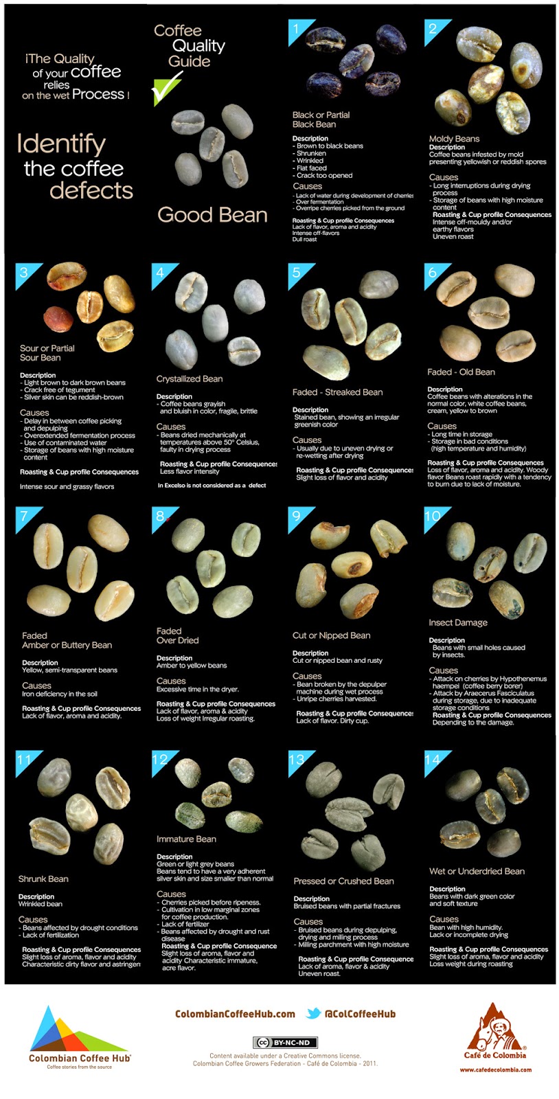PaulyHart.com: Coffee Bean Chart
