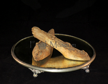 Freak Museum A Private Collection: Man is...