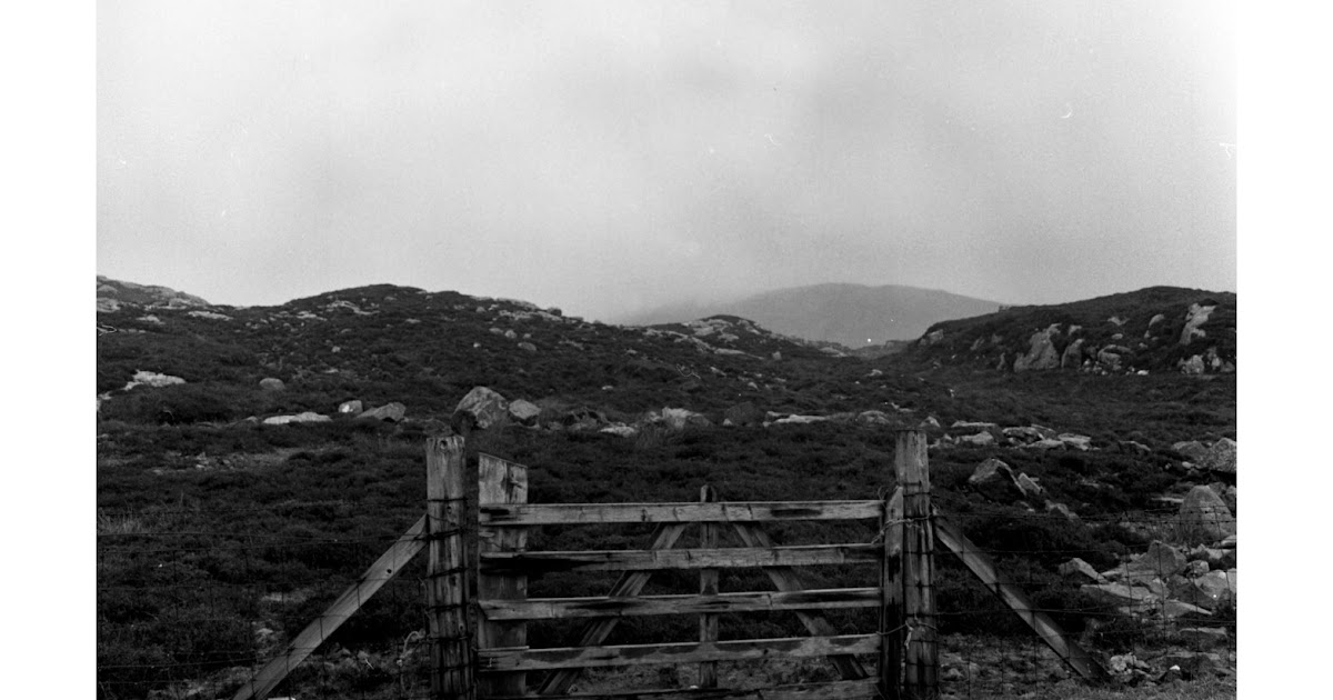 Boxes & Bellows: dampish