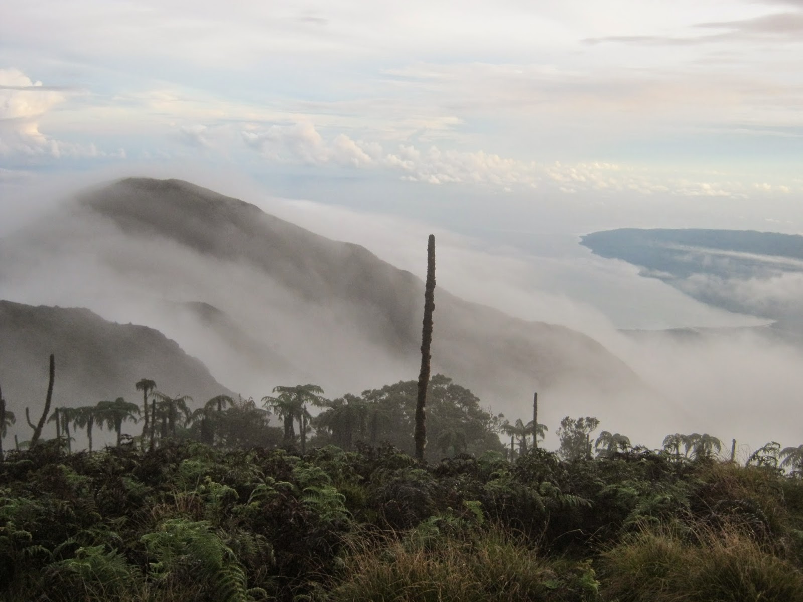 Outdoor Travelling and Culture Tourism Guide