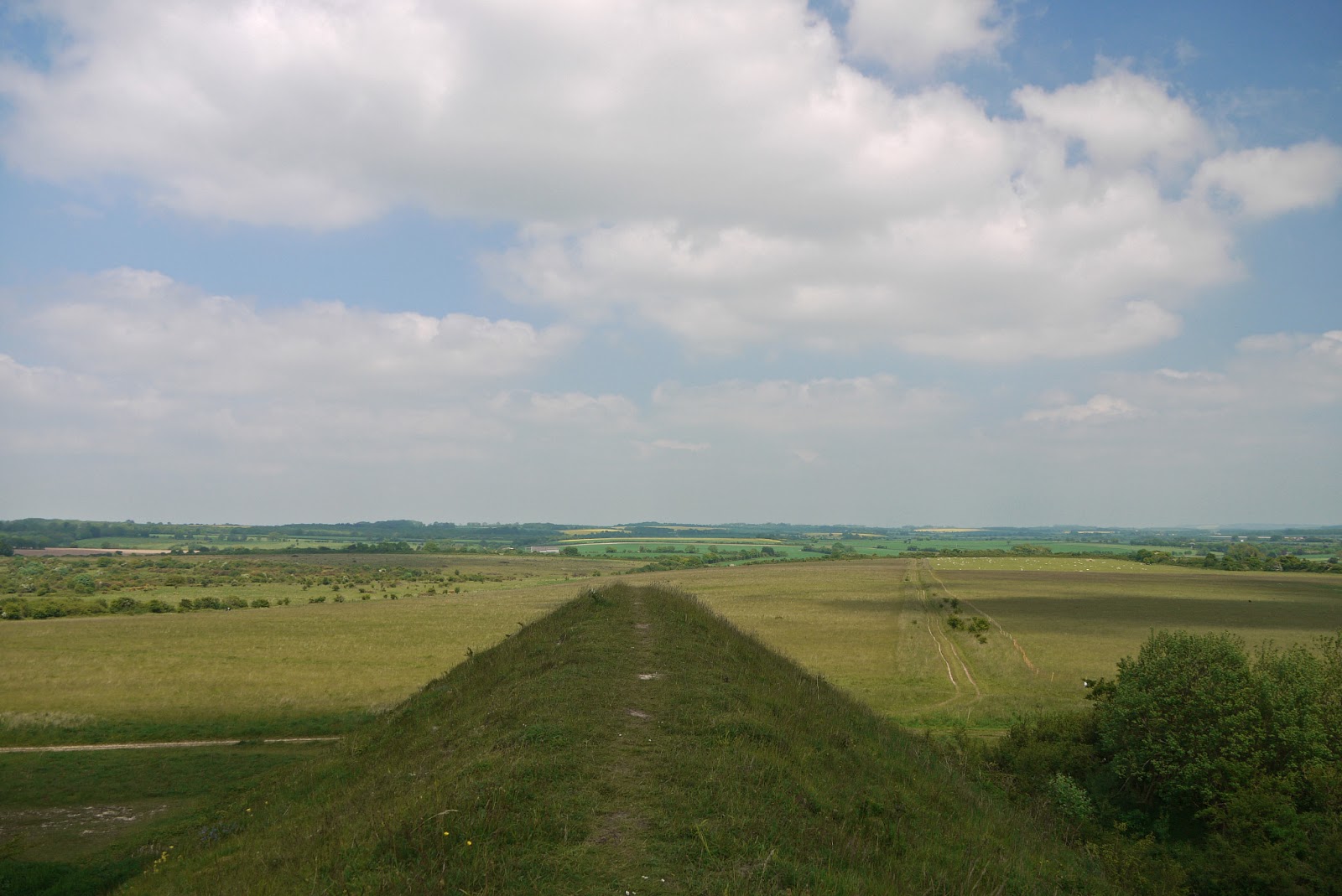 Walking in the country: Martin Down