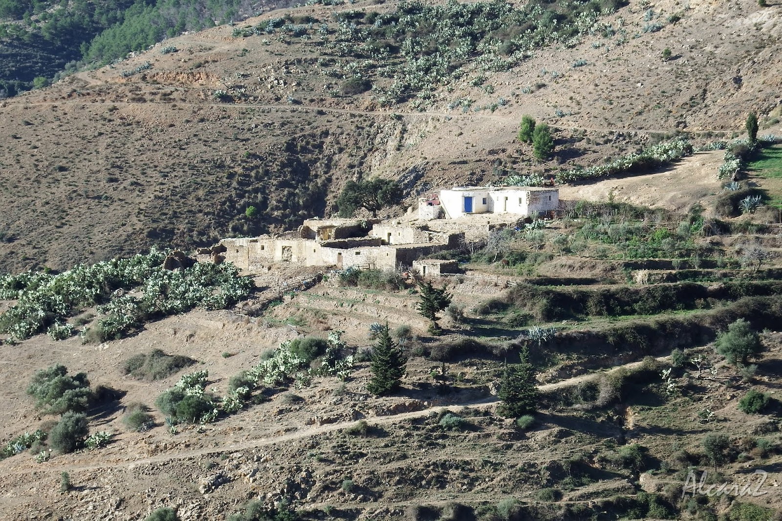 Desde Melilla: Subida al Morabo de Hardu en Monte Gurugú