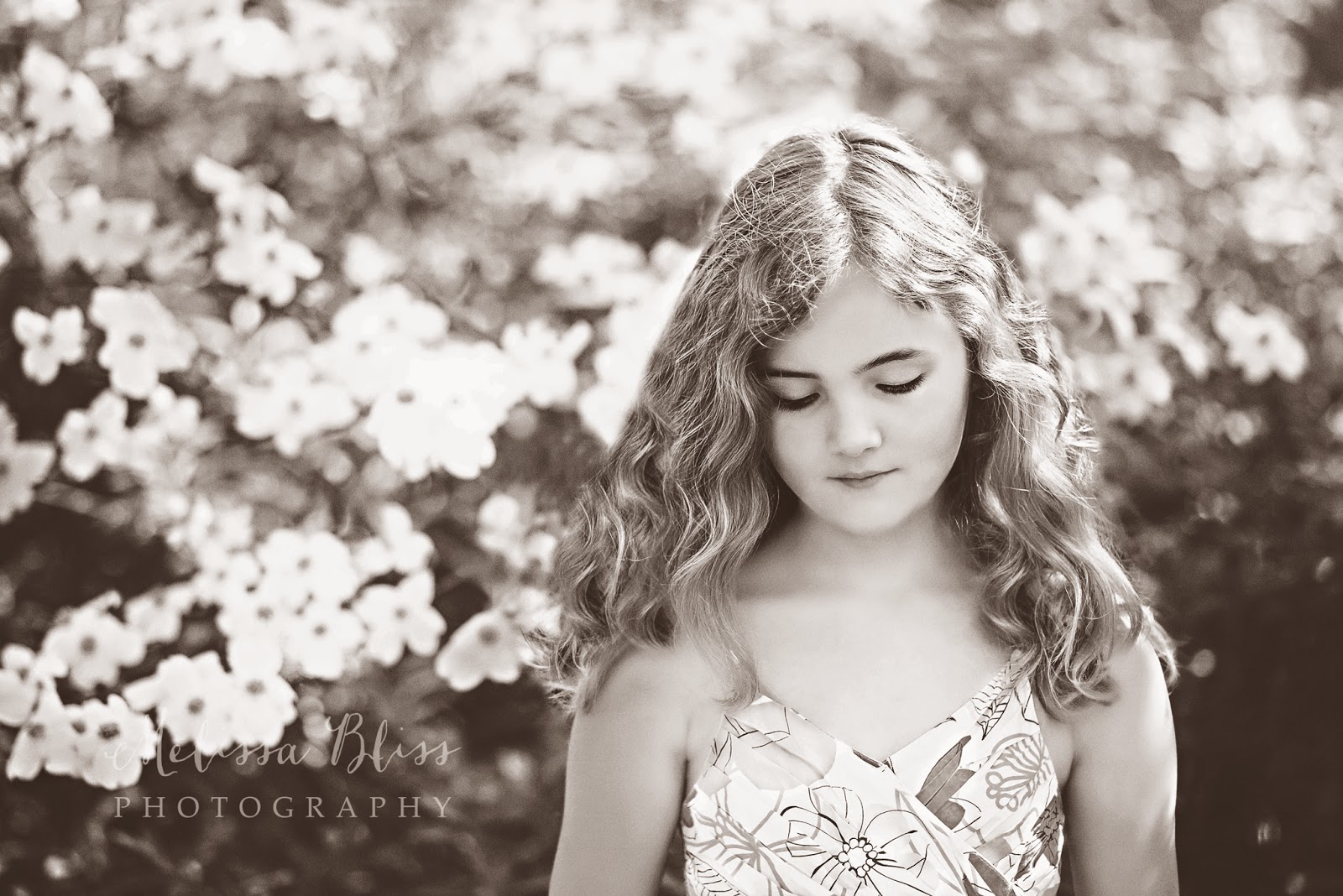 Serendipity is Sweet: WW - Dreamy Dogwoods