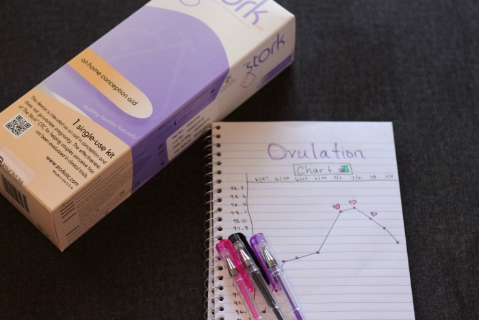 How The Stork Is Helping Me TTC Baby #2 - First Time Mom and Losing It