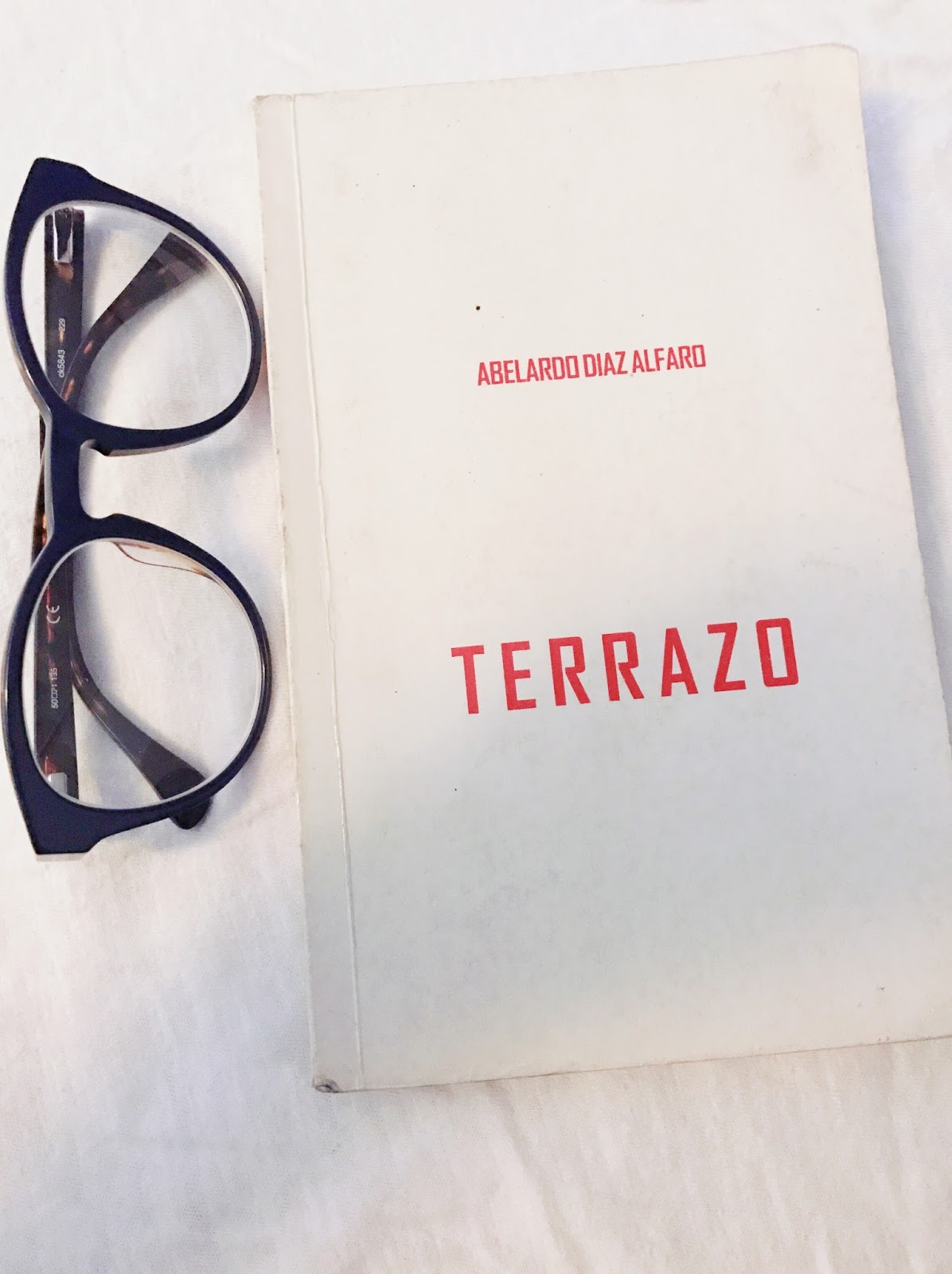 Mil y un vidas entre páginas: Reseña de Terrazo