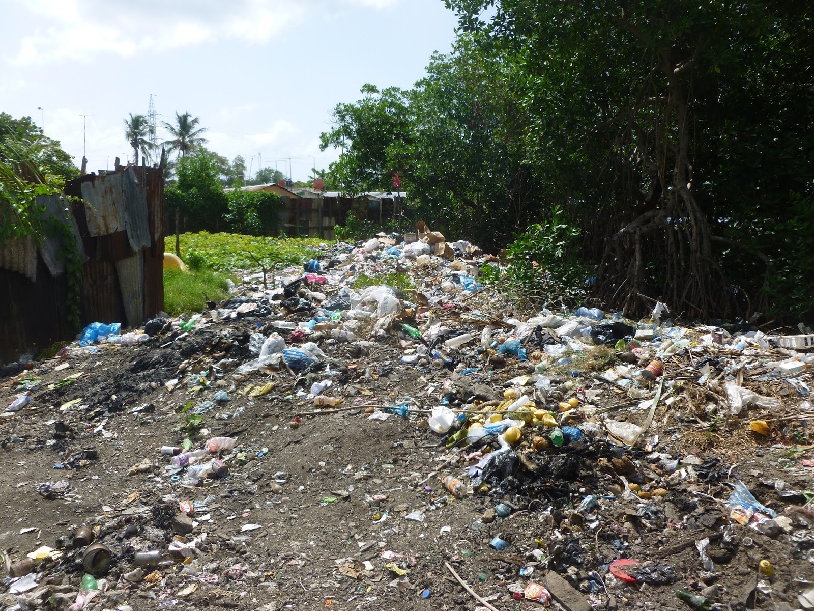 MILENIO CALIENTE: BARRIO BLANCO: HACINAMIENTO, PELIGRO Y CONTAMINACION ...