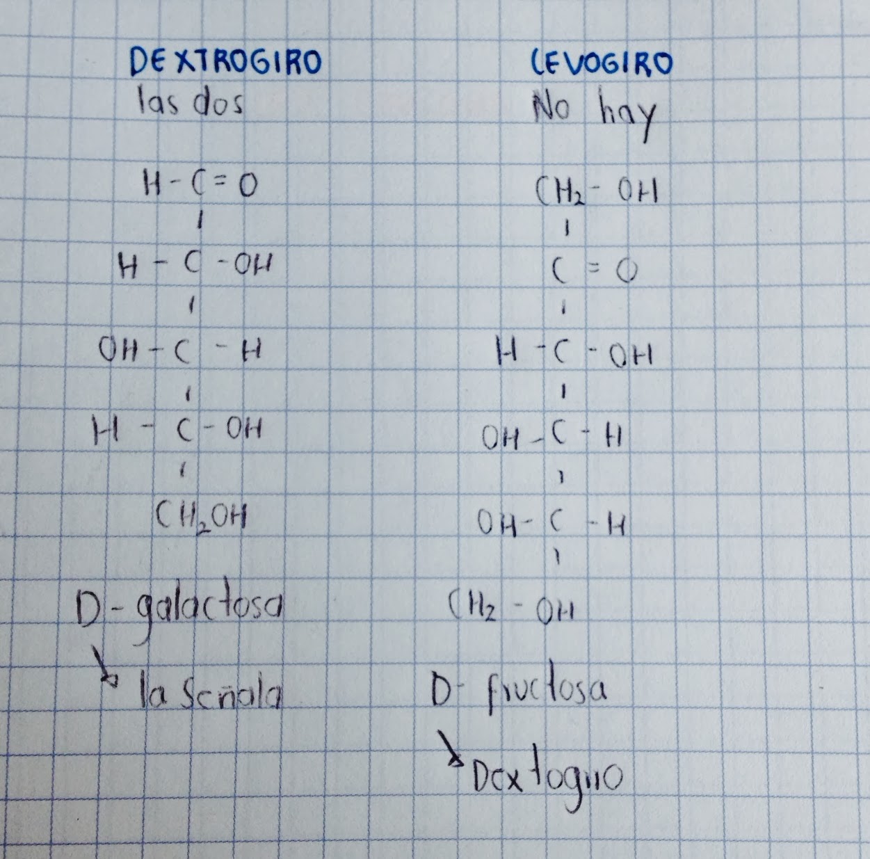 Mundo de la Bioquímica.