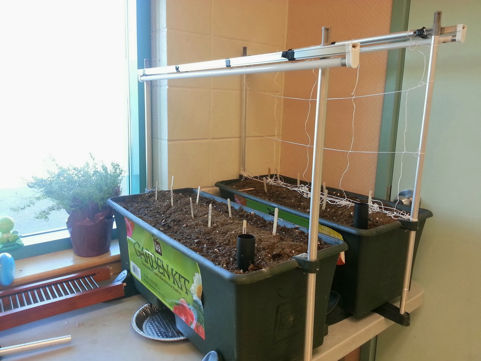 Mme Green's Classroom: Earth Box