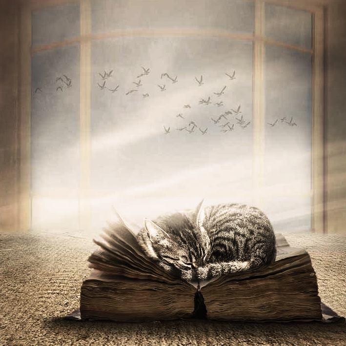 Christine Ellger, 1948 | Surrealist Fine Art Photographer | Tutt'Art ...