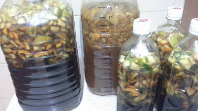 Ternyata Sisa Sayur Dan Kulit Buah Dapat Dijadikan Cairan Pembersih ...