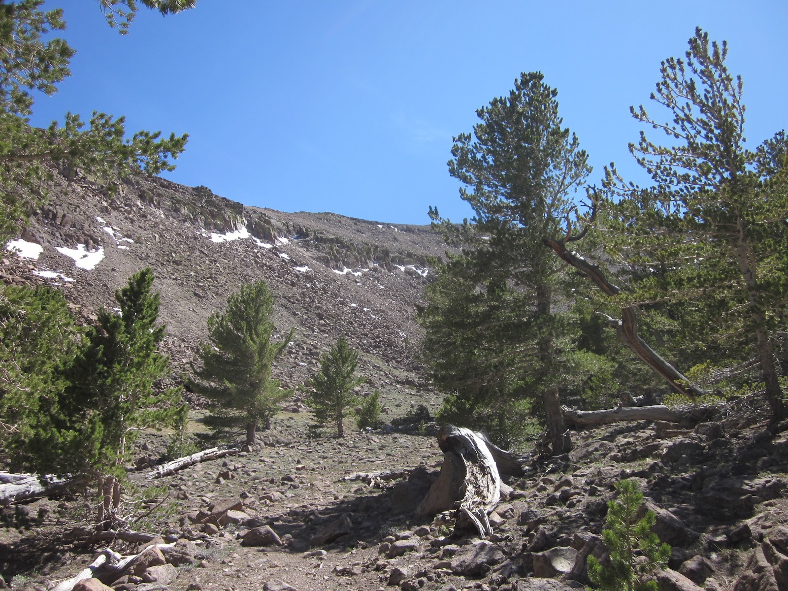 Scootchin' Sand: Alta-Toquima Wilderness