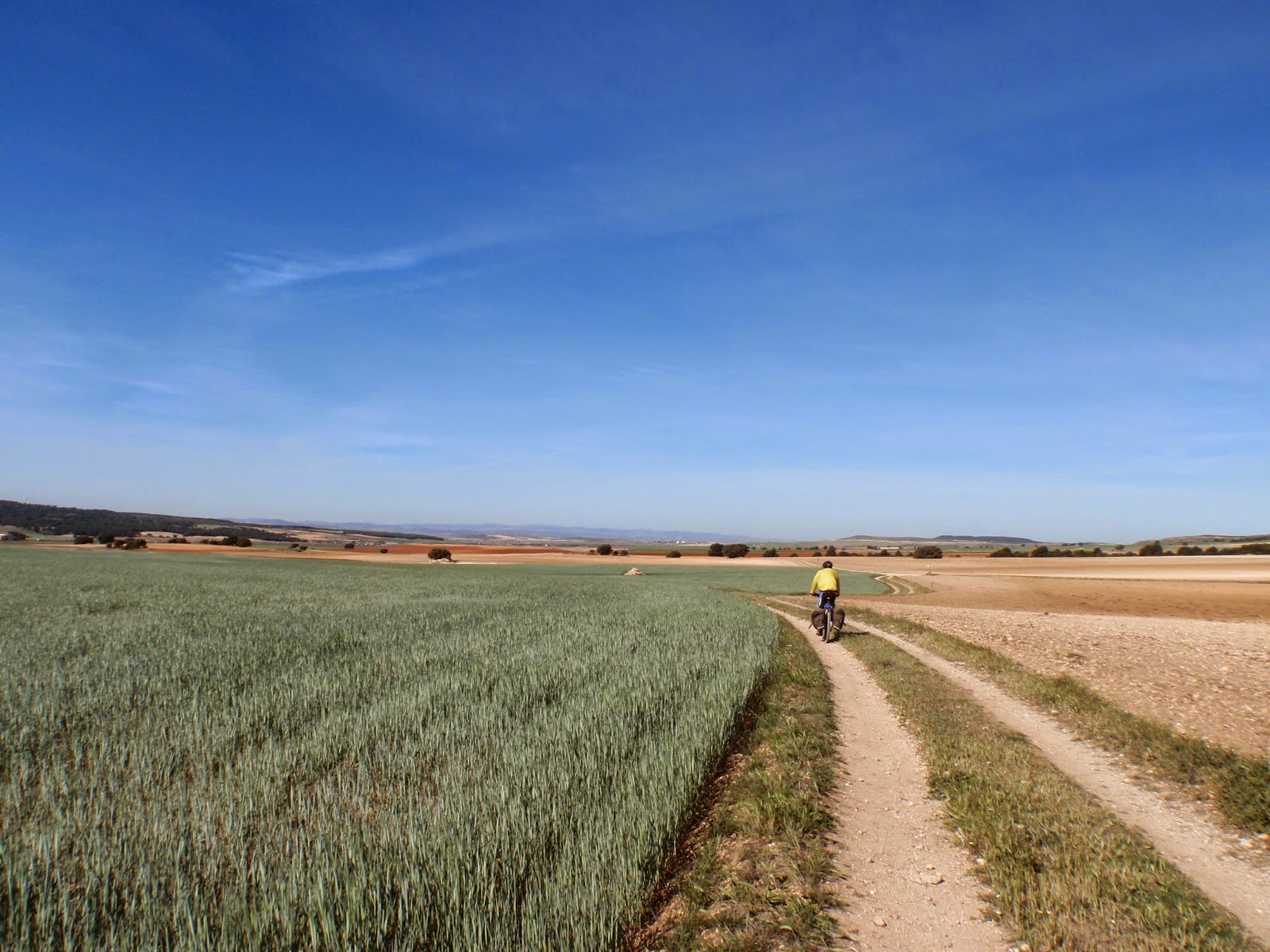 Joan Montoya: CAMINO DE SANTIAGO - CAMINO DE LEVANTE