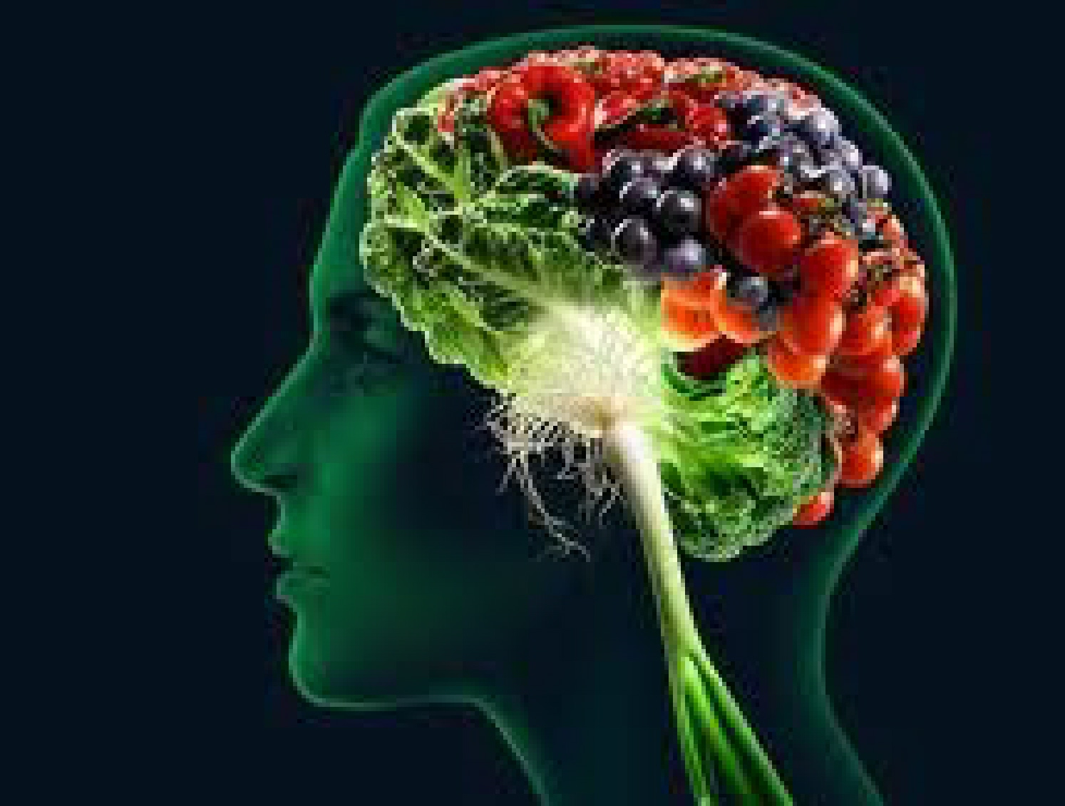 Our Private Doctor: Details Of Brain Food Described