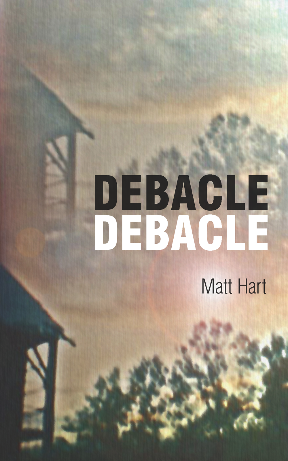 Bewilderment Inc.: THE NEXT BIG THING: DEBACLE DEBACLE