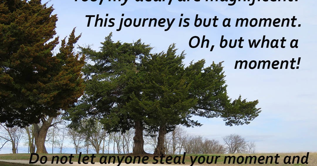 Things To Know About Life: Magnificent