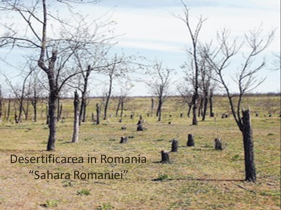 Riscuri naturale si antropice: Desertificarea