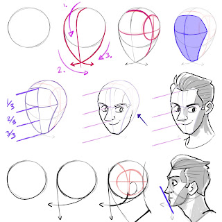 Learning drawing principles: head drawing studies