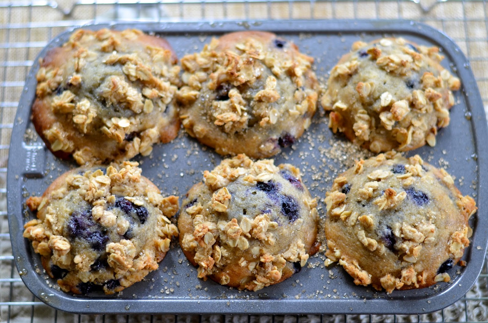 stuffed rabbit: hearty blueberry muffins