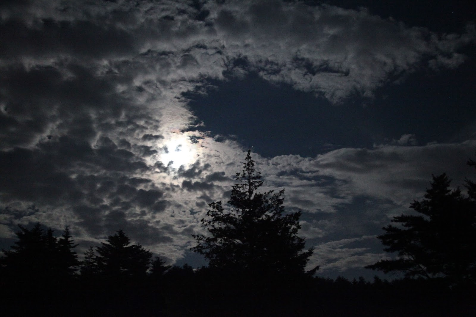 curving back: full moon blurred by clouds