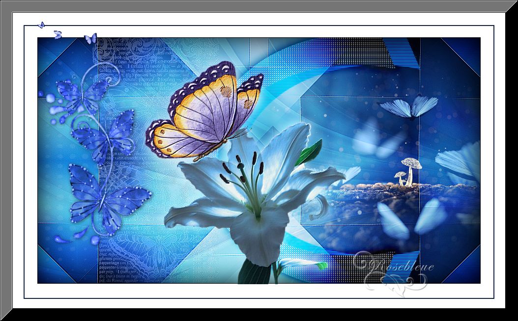 Le blog de Libellule: Morpho bleu