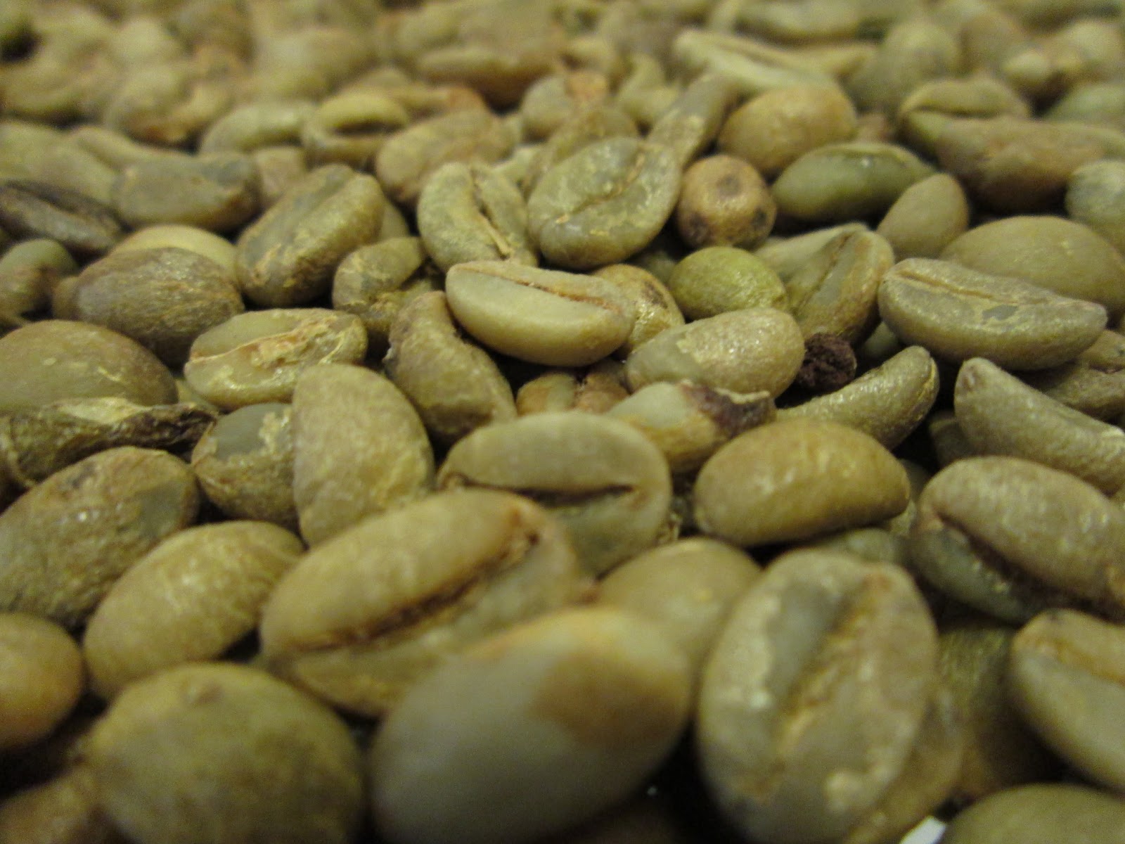 Planet curiosities: Café verde