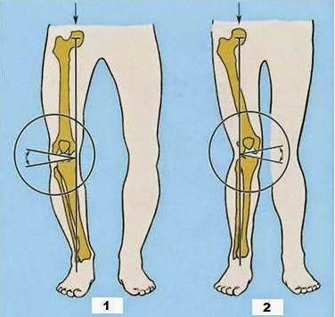 Valoración Funcional: Pie-Tobillo