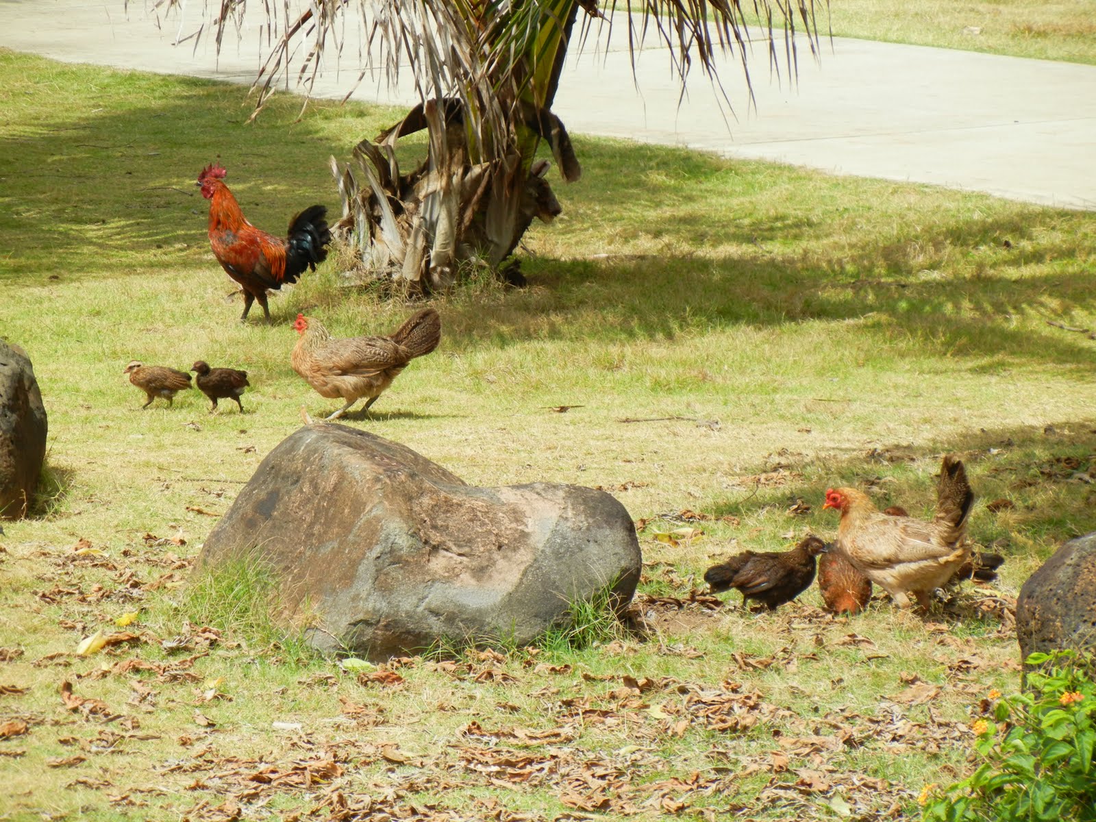 Arctic Backyard Farming
