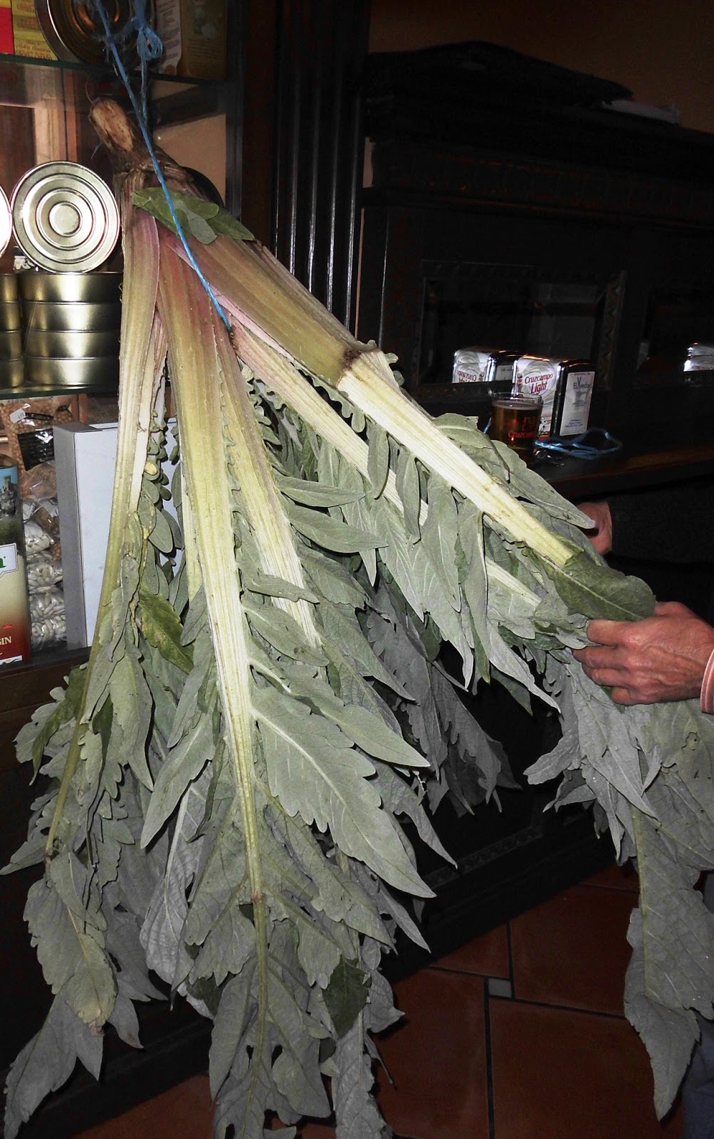 Calle Ancha: Cardillo