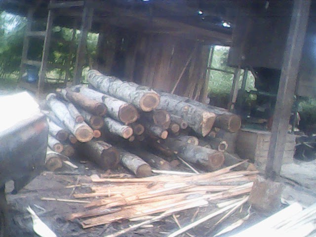 .: PENGOLAHAN KAYU RAKYAT