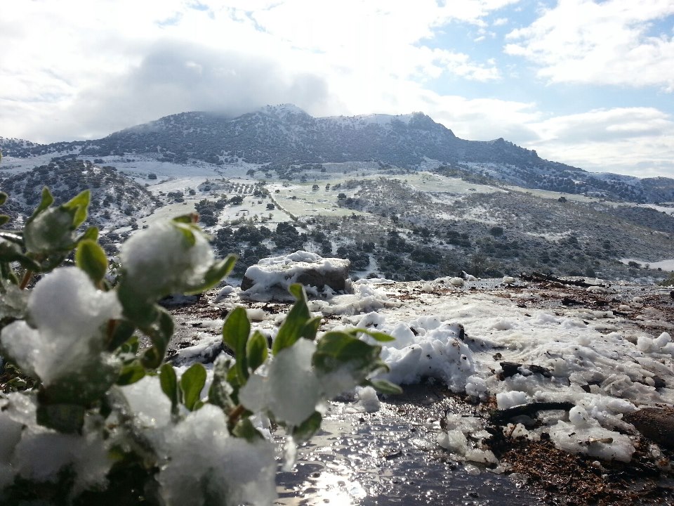 perdigon bravio: ¡¡Ensueño con los nevados de Marabe...!