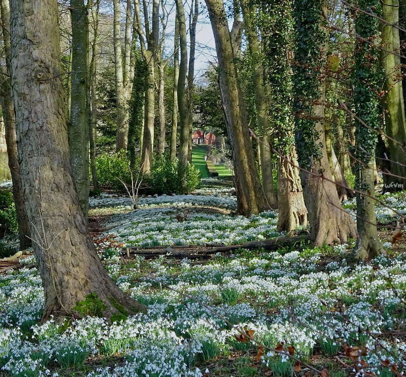 Where Five Valleys Meet: A Rococo Garden in the Cotswolds - visited 28. ...