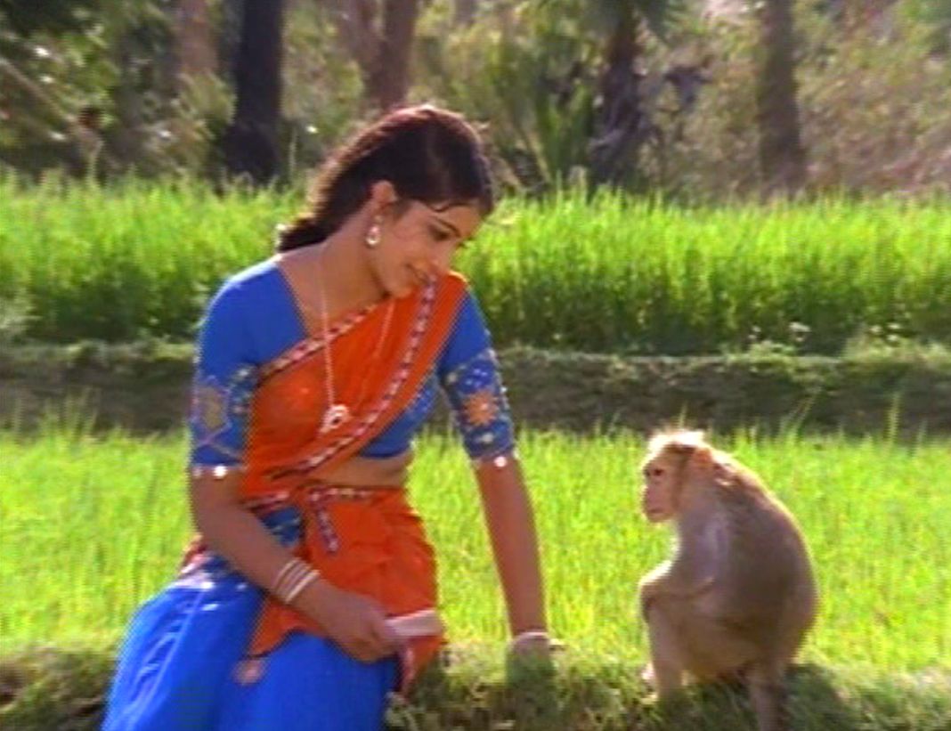 Tollywood is My Bollywood: Punnami Naagu (1980) Dir. Rajasekhar