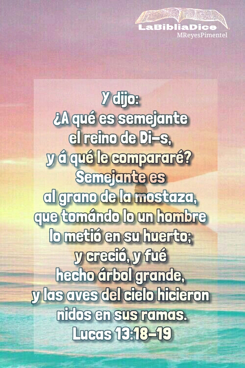 Lucas 13:18-19